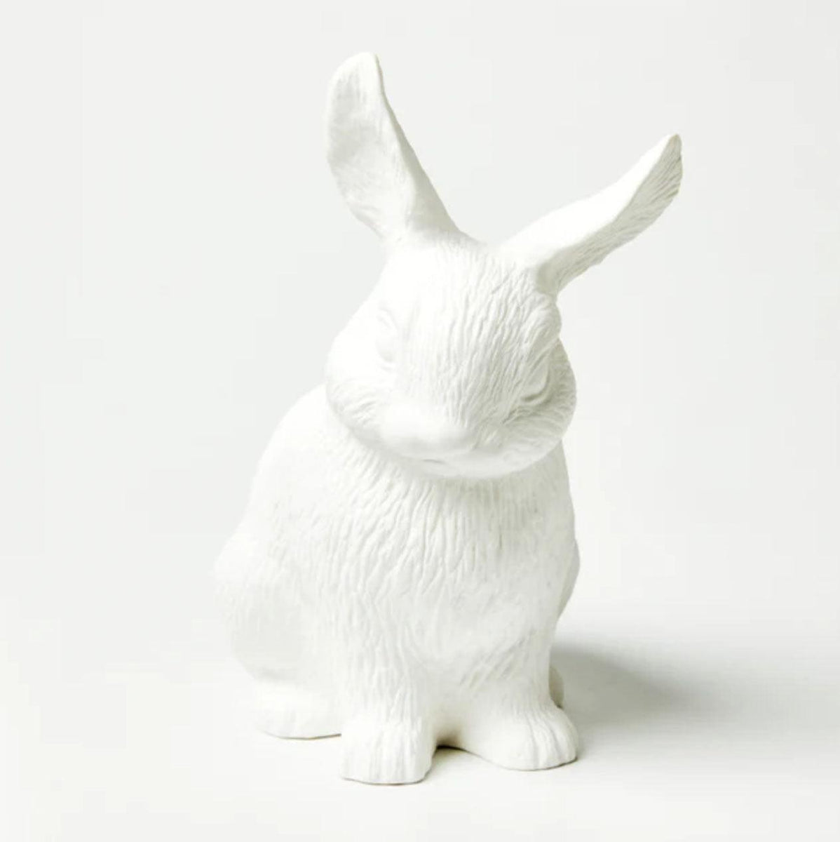 Bunny Money Box | White | Jones & Co – Rose St Trading Co