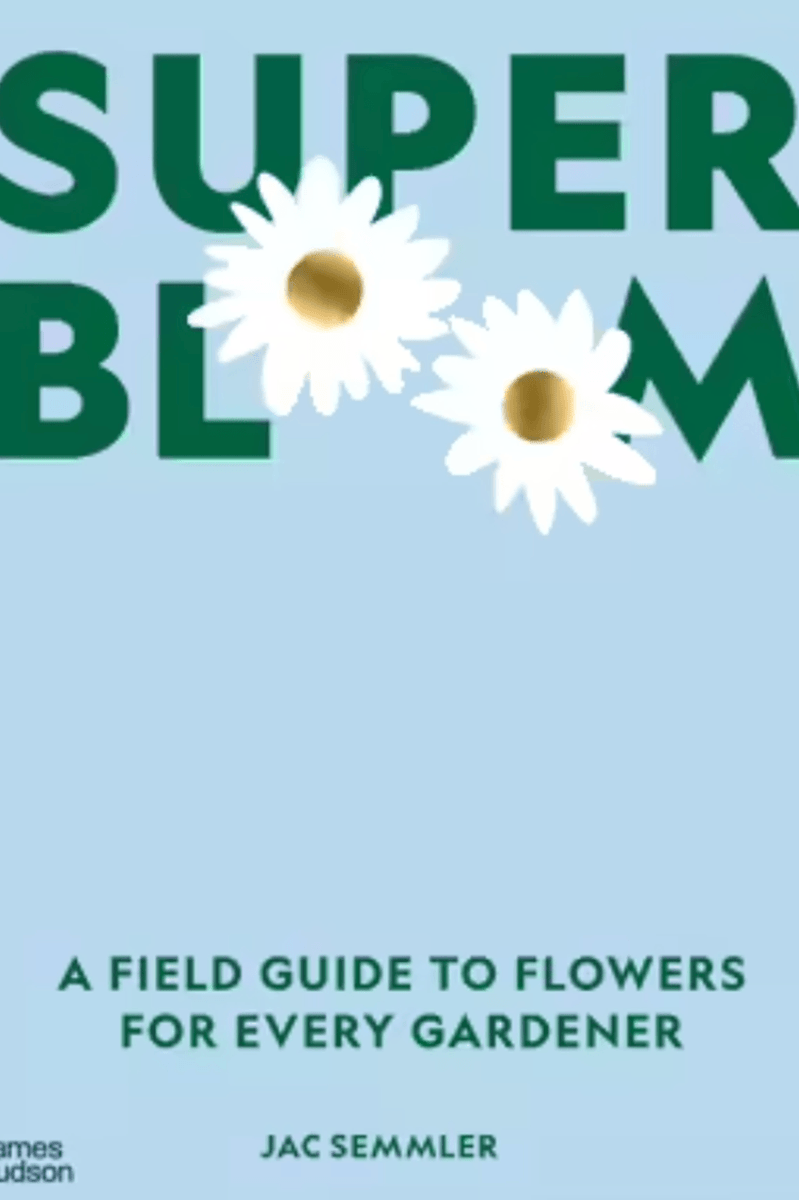 Super Bloom | Book Publisher – Rose St Trading Co